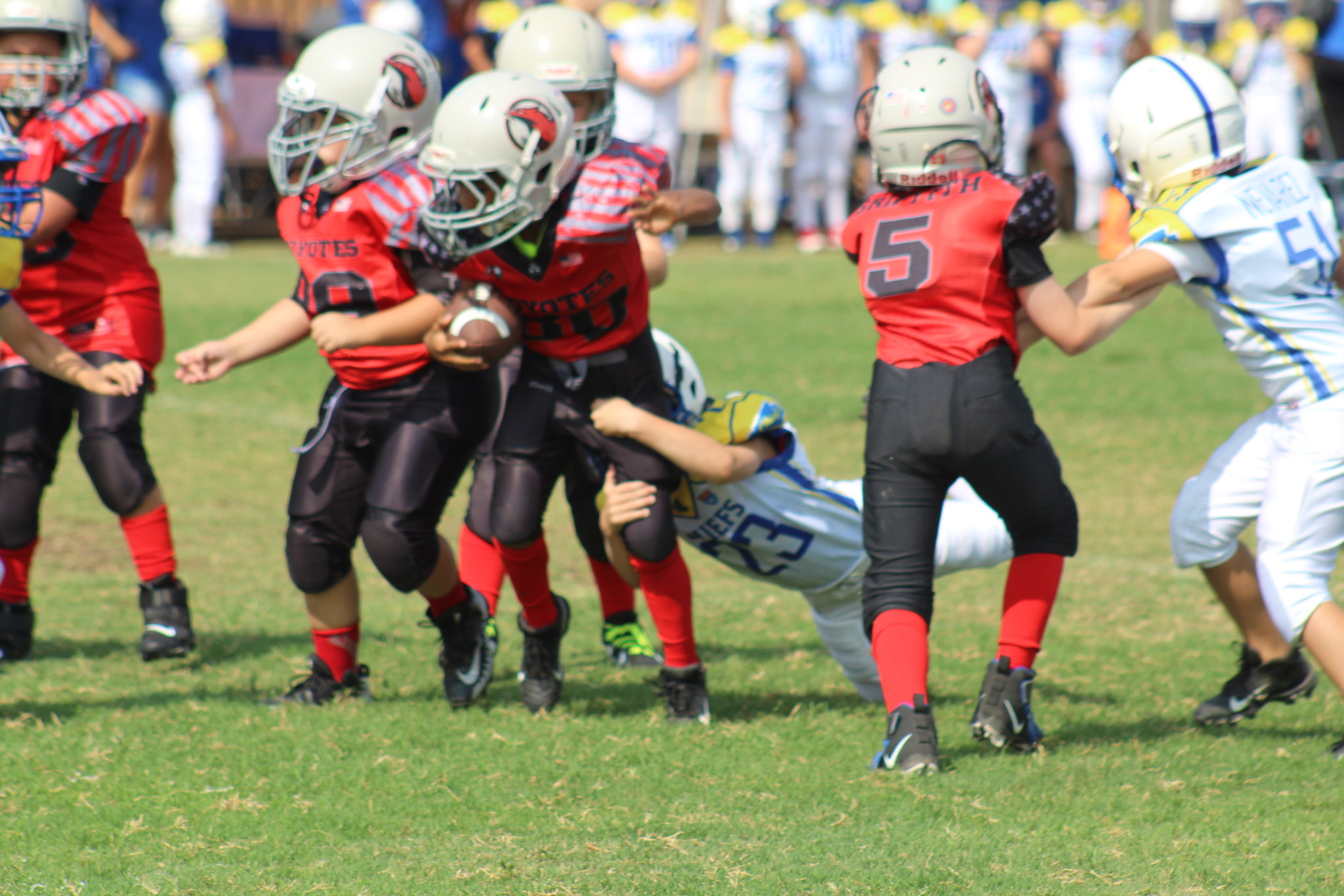Photos – Yuma Coyotes Football